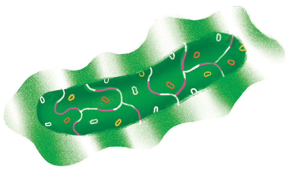 Thomas Waitz - Green MEP for Austria