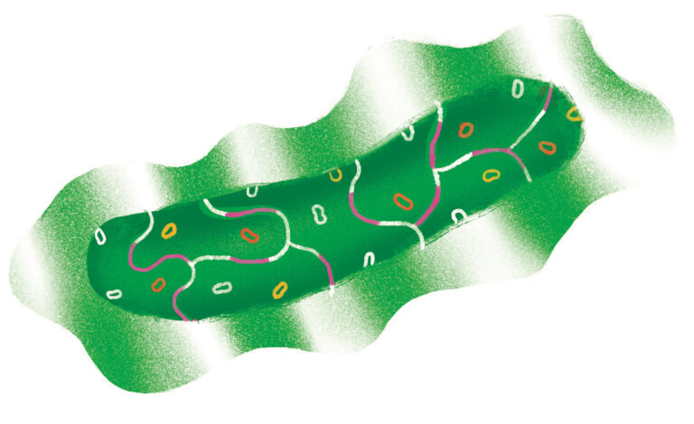 Thomas Waitz - Green MEP for Austria