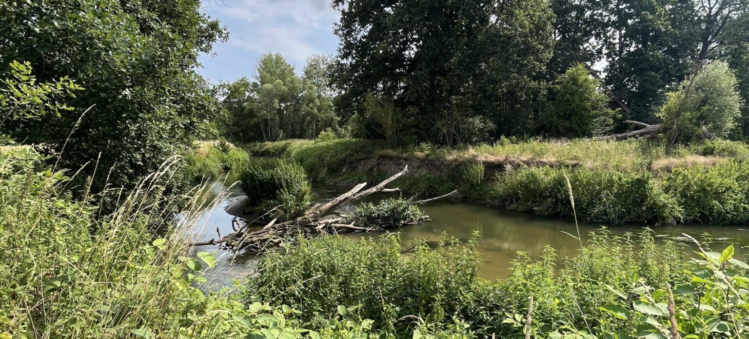 Thomas Waitz - Green MEP for Austria